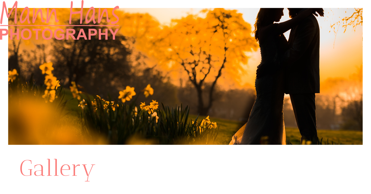 Gallery | Photography Highlights | Mann Hans Photography